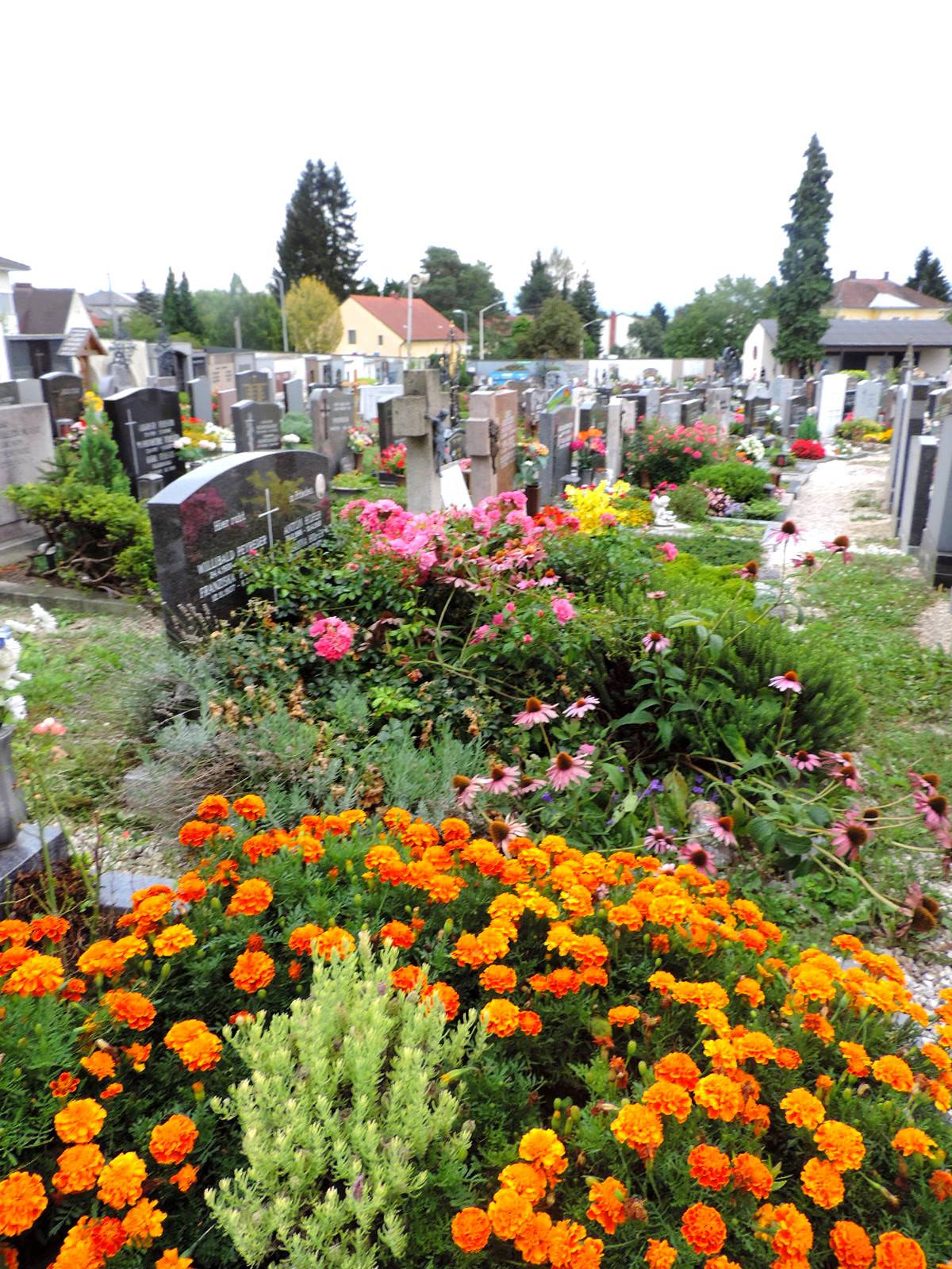 Pfarrfriedhof Leonding - Leonding