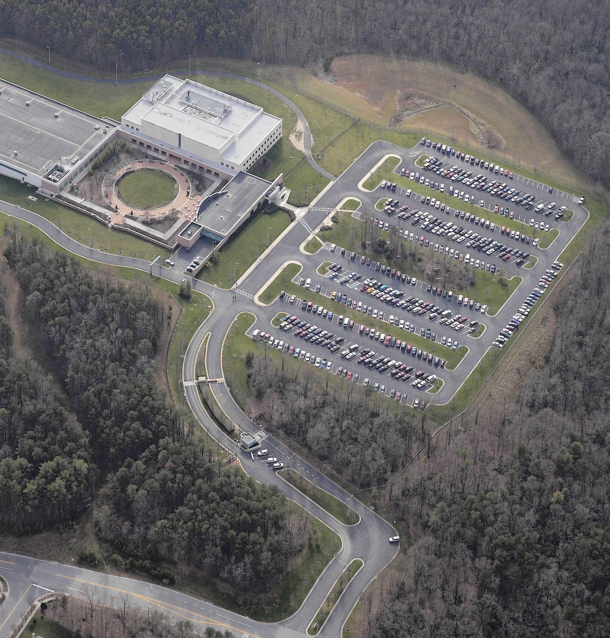 Special Collections Service