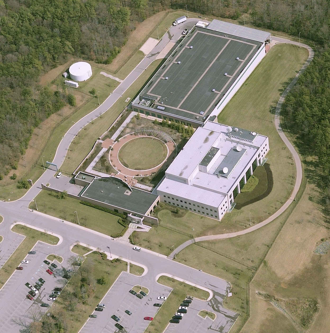 Special Collections Service