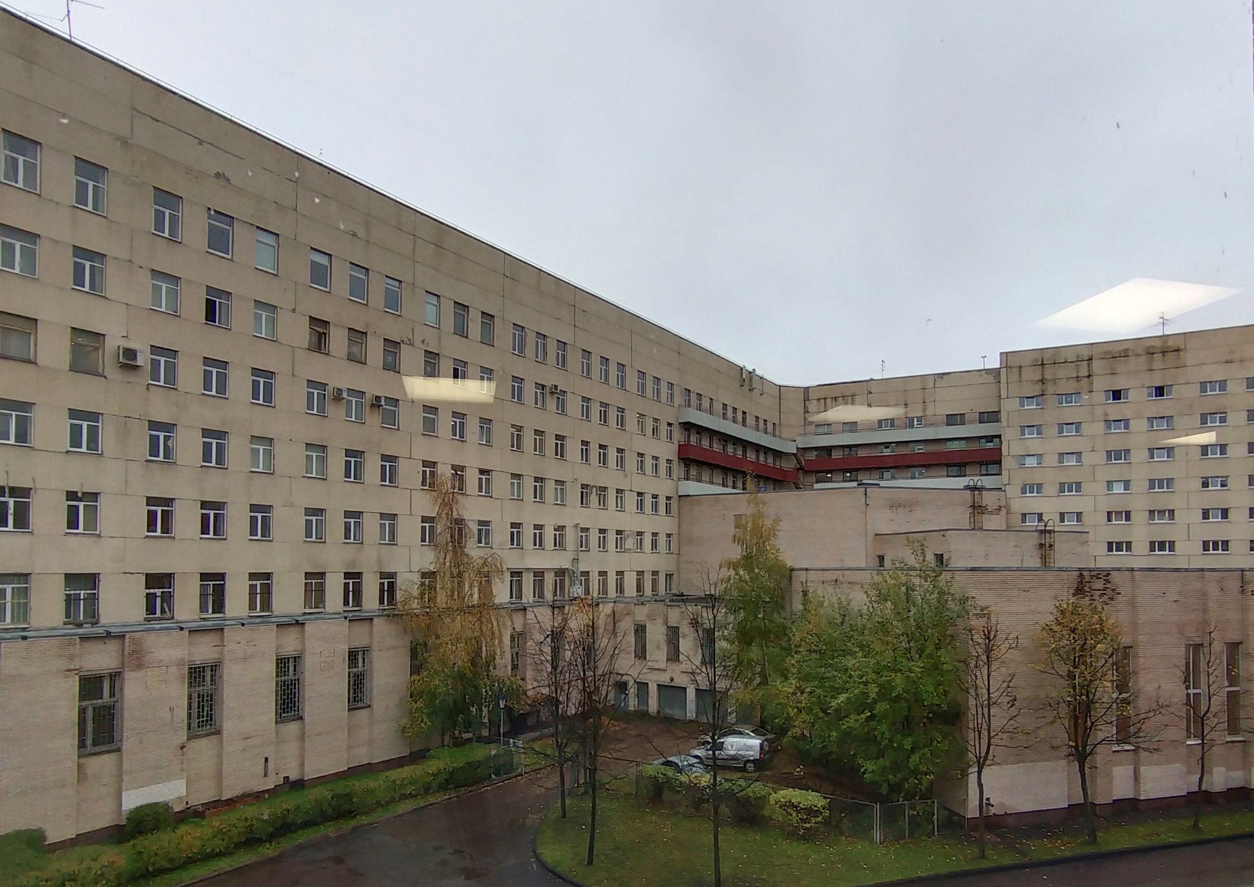 Institute of International Educational Programs - Saint Petersburg