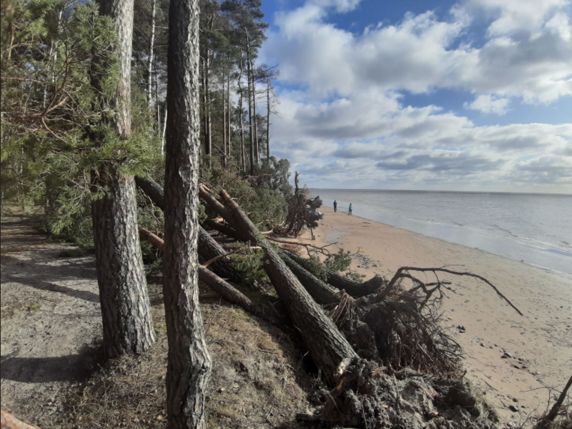 Valgerand Beach - Valgeranna