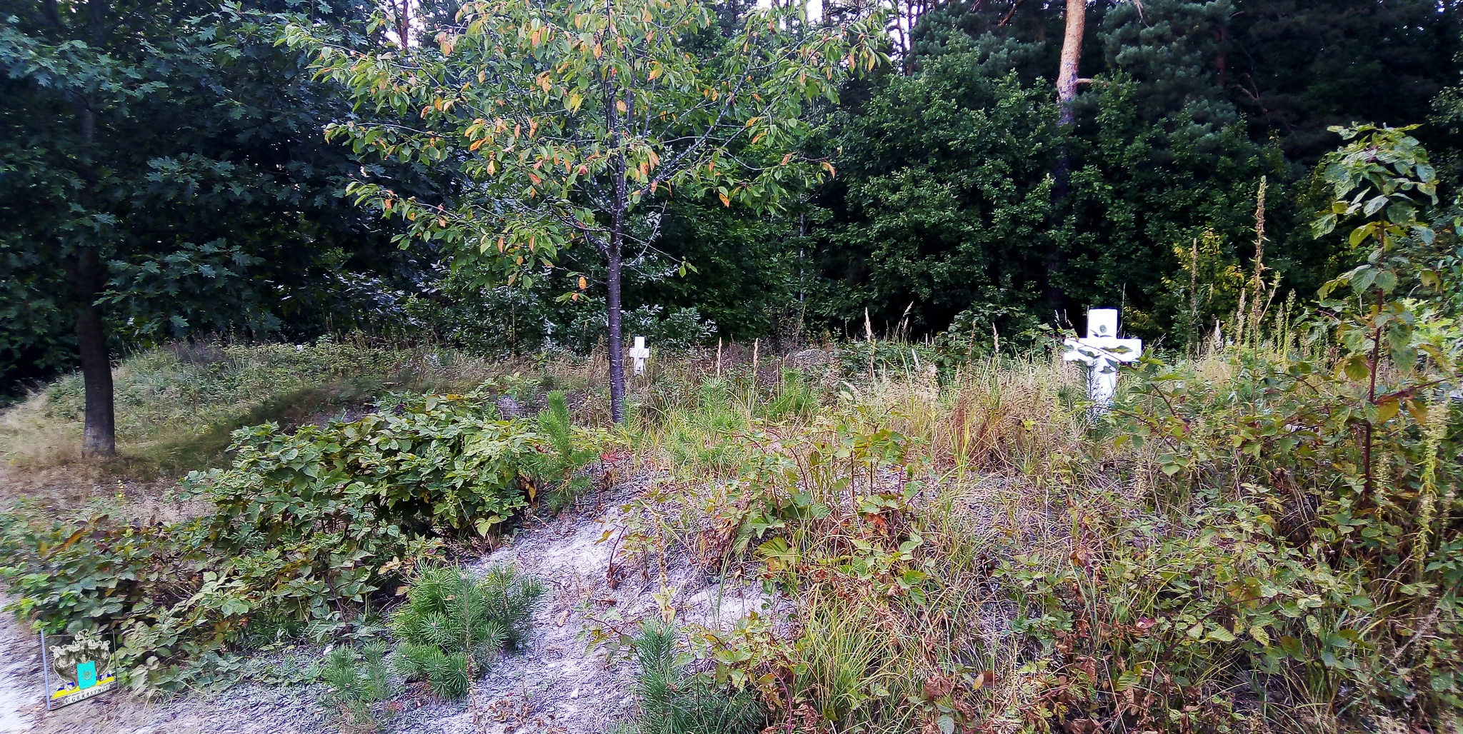 Mass grave