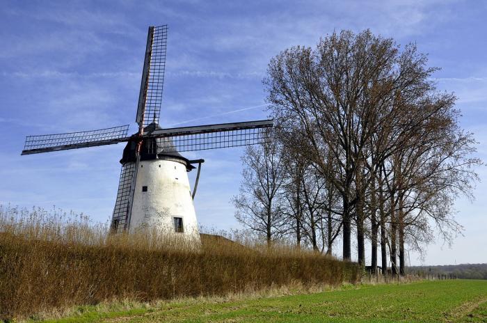 Windmill - Grand-Leez