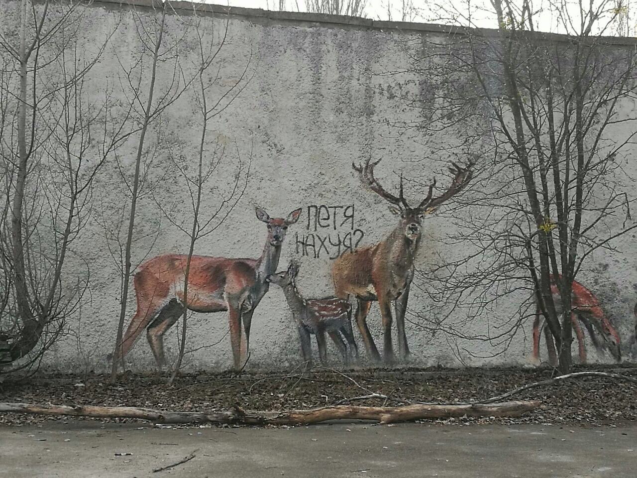 Shooting gallery - Prypiat