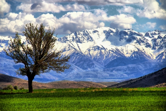 Mount Berit | mountain