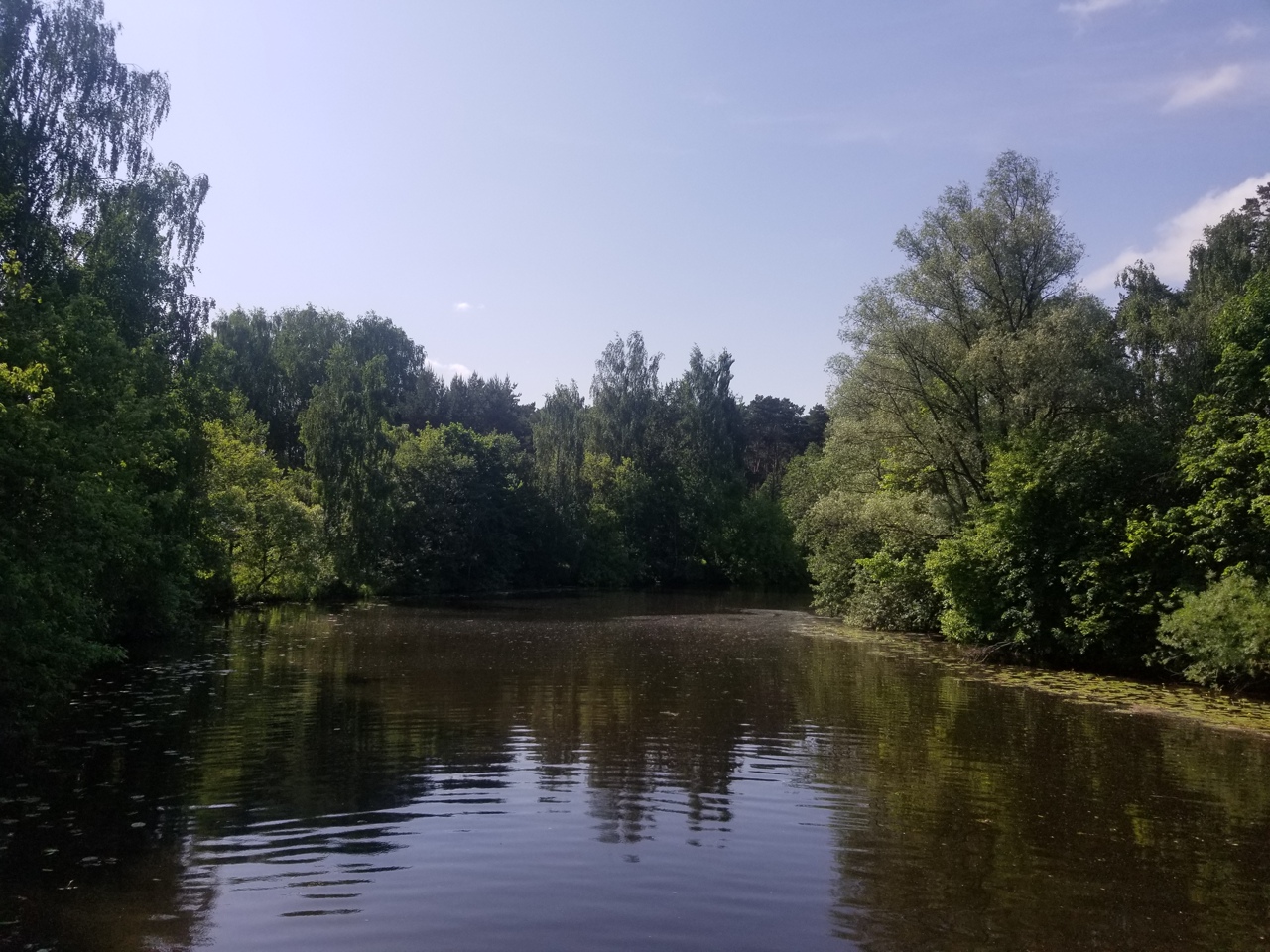 Serebryany Bor ("Silver Forest", "Silver Pinery") protected natural ...