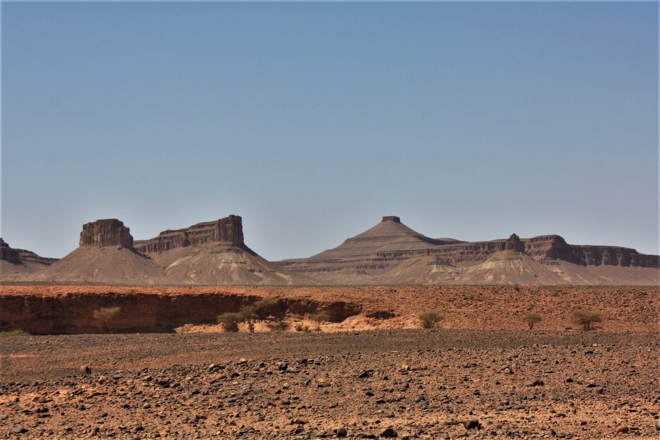 Jebel El Mdaouer El Kebir