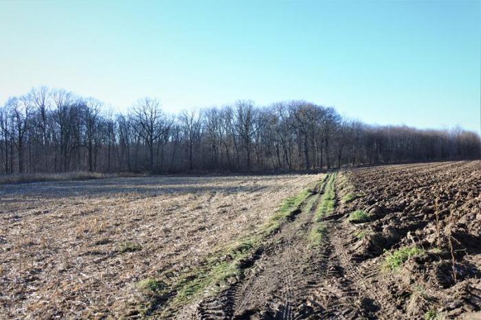 Głęboka hillfort | archaeological site, Medieval / Middle Ages, gord ...