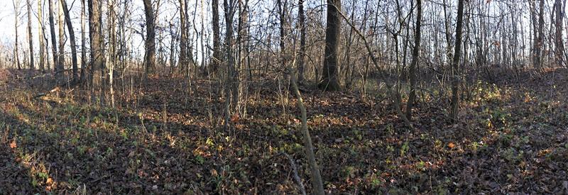Głęboka hillfort | archaeological site, Medieval / Middle Ages, gord ...