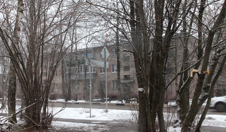 ulitsa Mira, 16 - Krasnogorsk