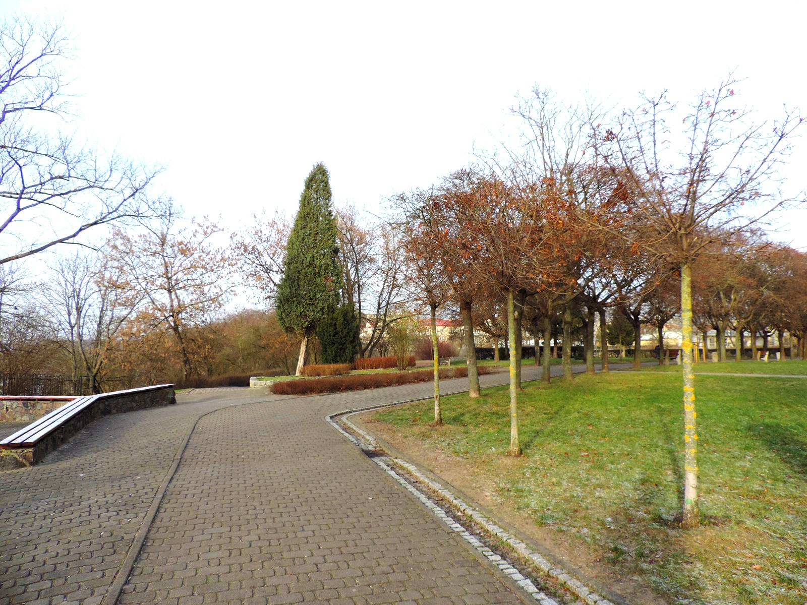 Park Jar Abisynia - Płock