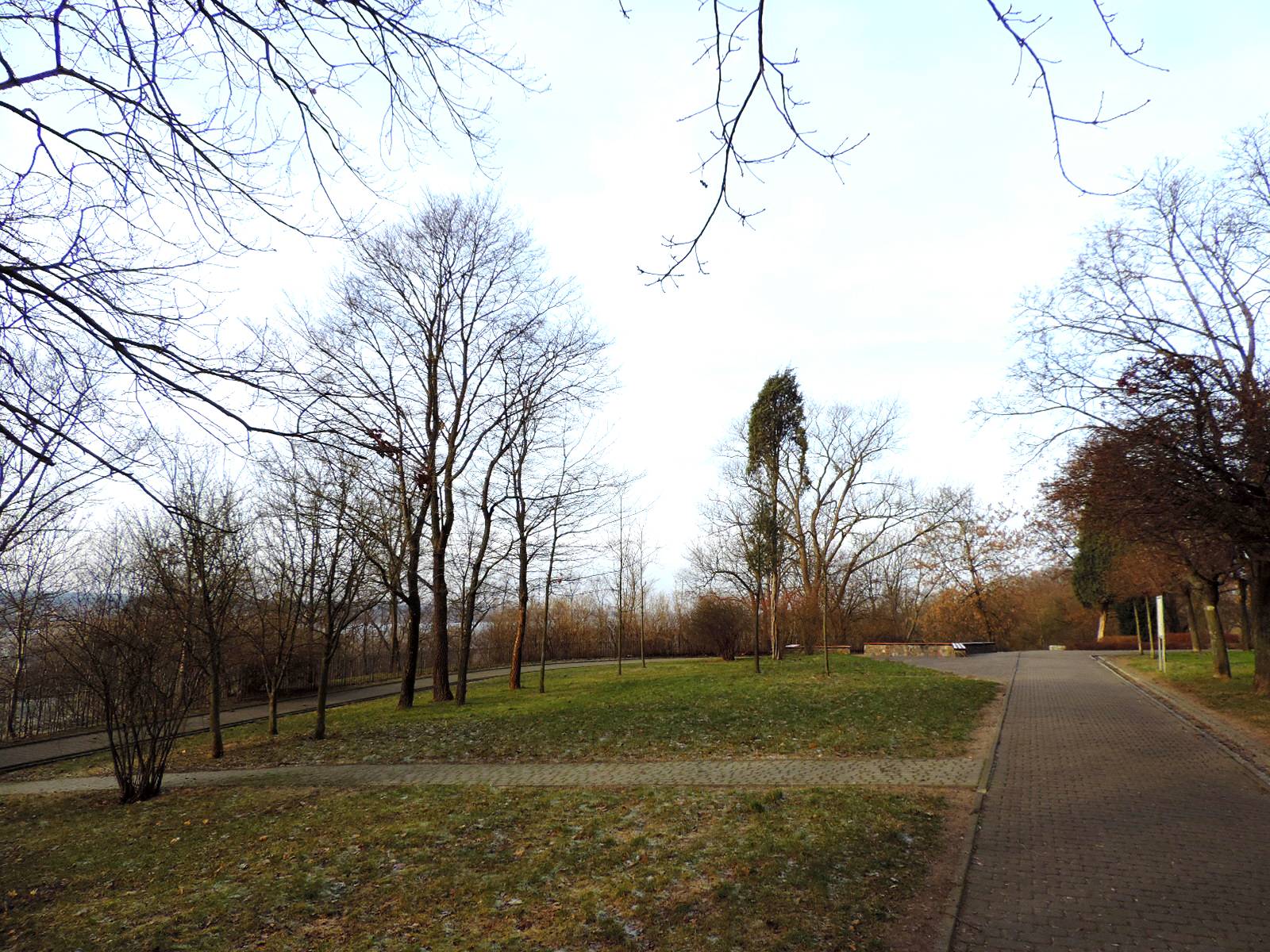 Park Jar Abisynia - Płock