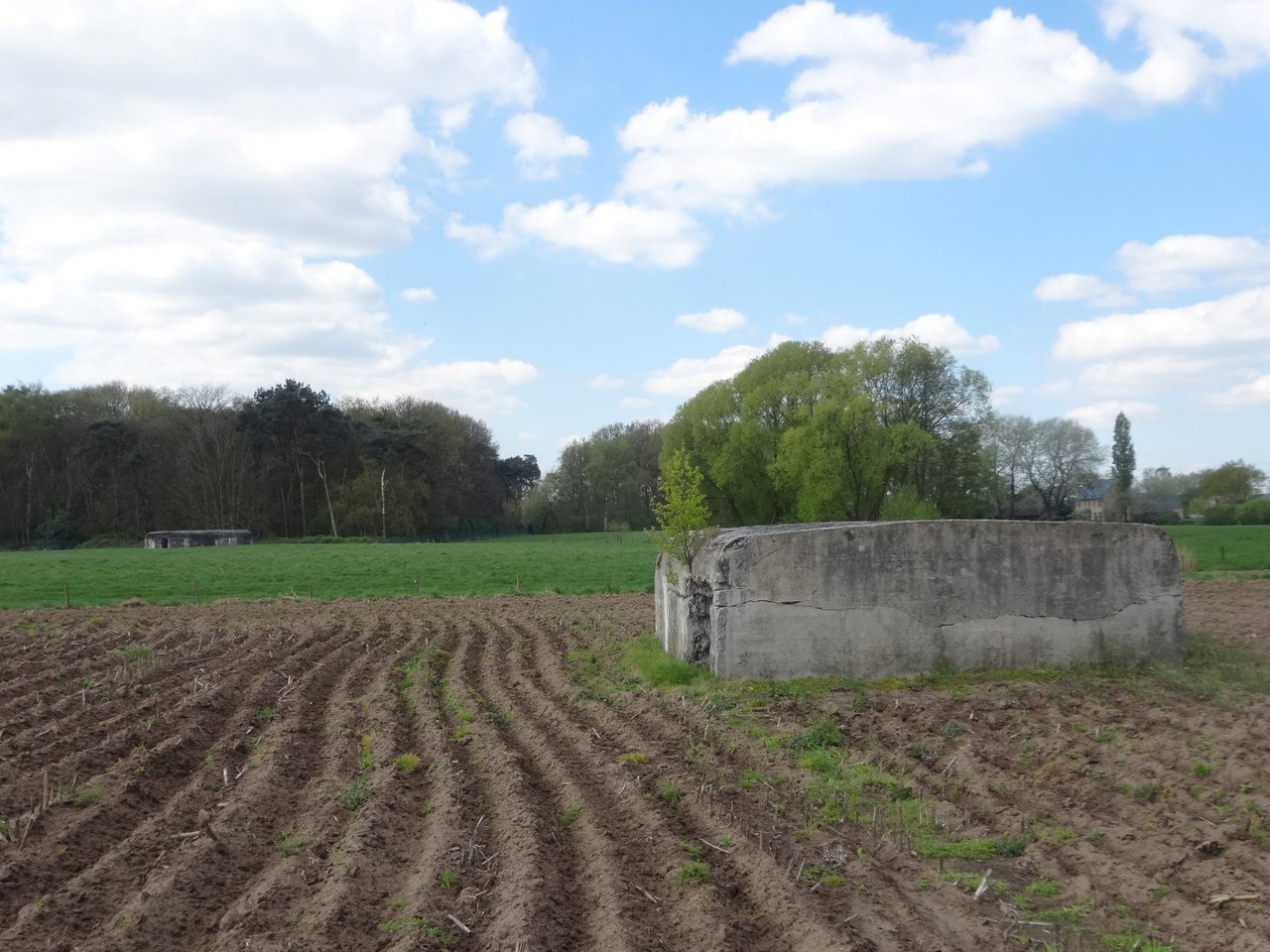 Duitse bunker - Beveren
