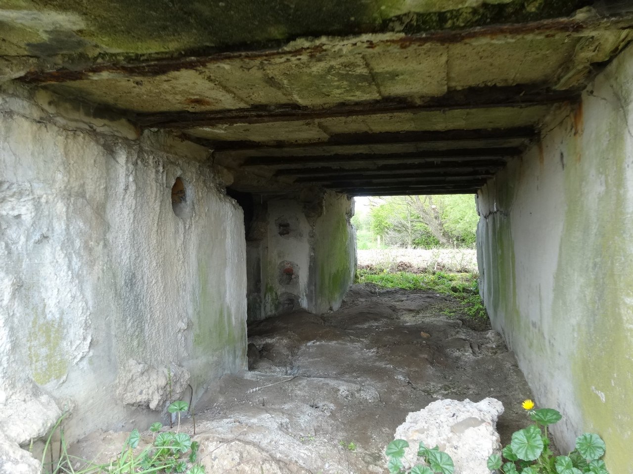 Duitse bunker - Beveren