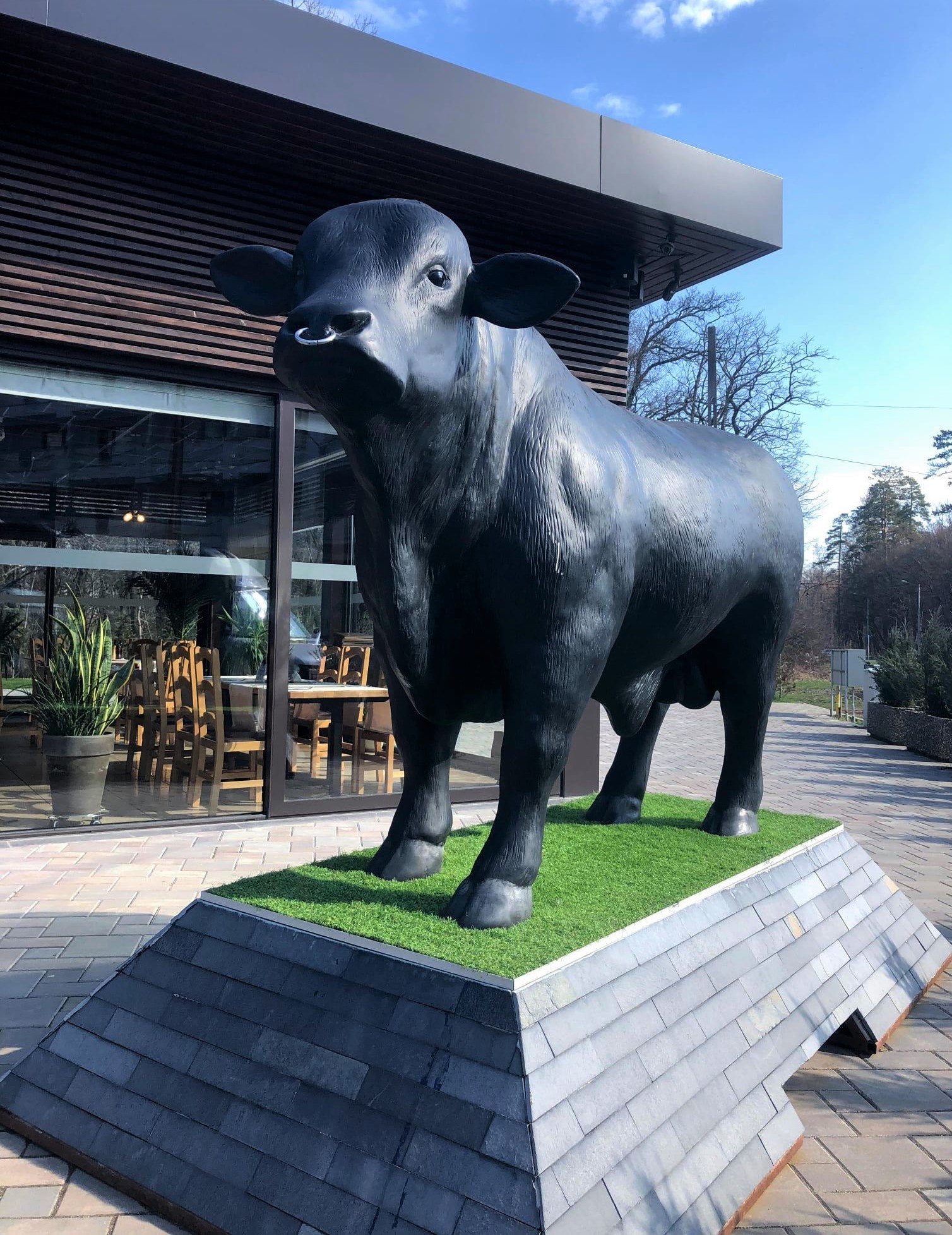 Jacob Grillhouse bull