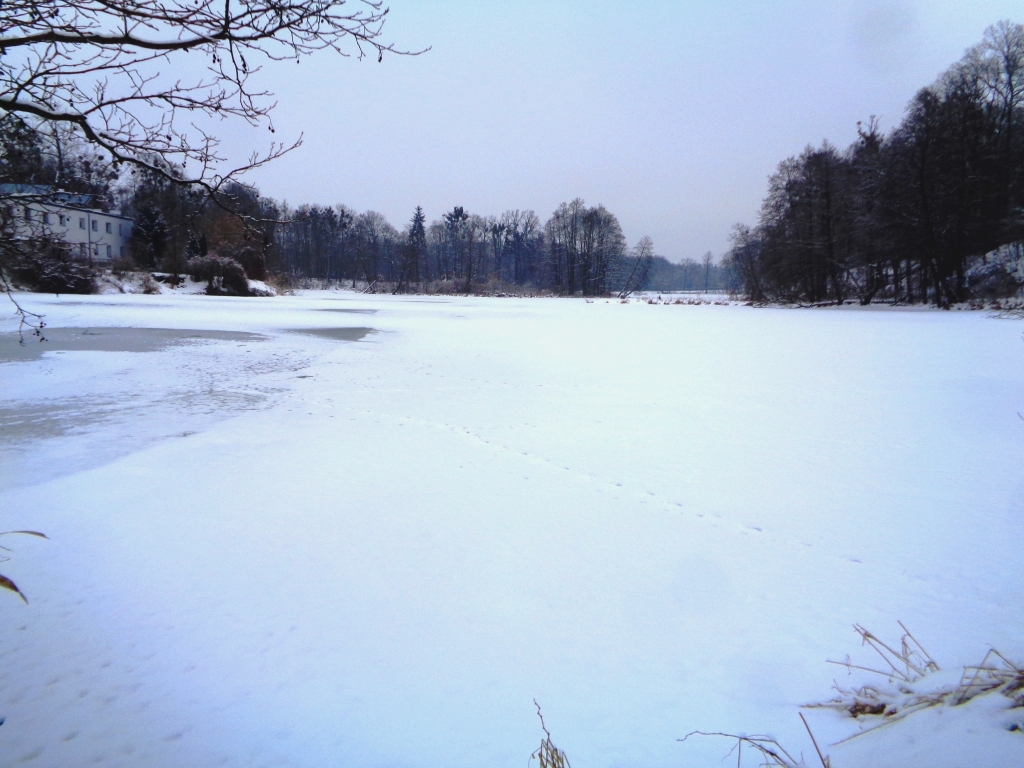 Zbiornik Lisowice - Lisowice