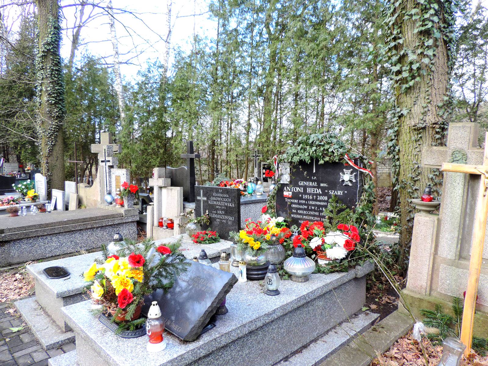 Grób Antoniego Hedy-Szarego - Podkowa Leśna