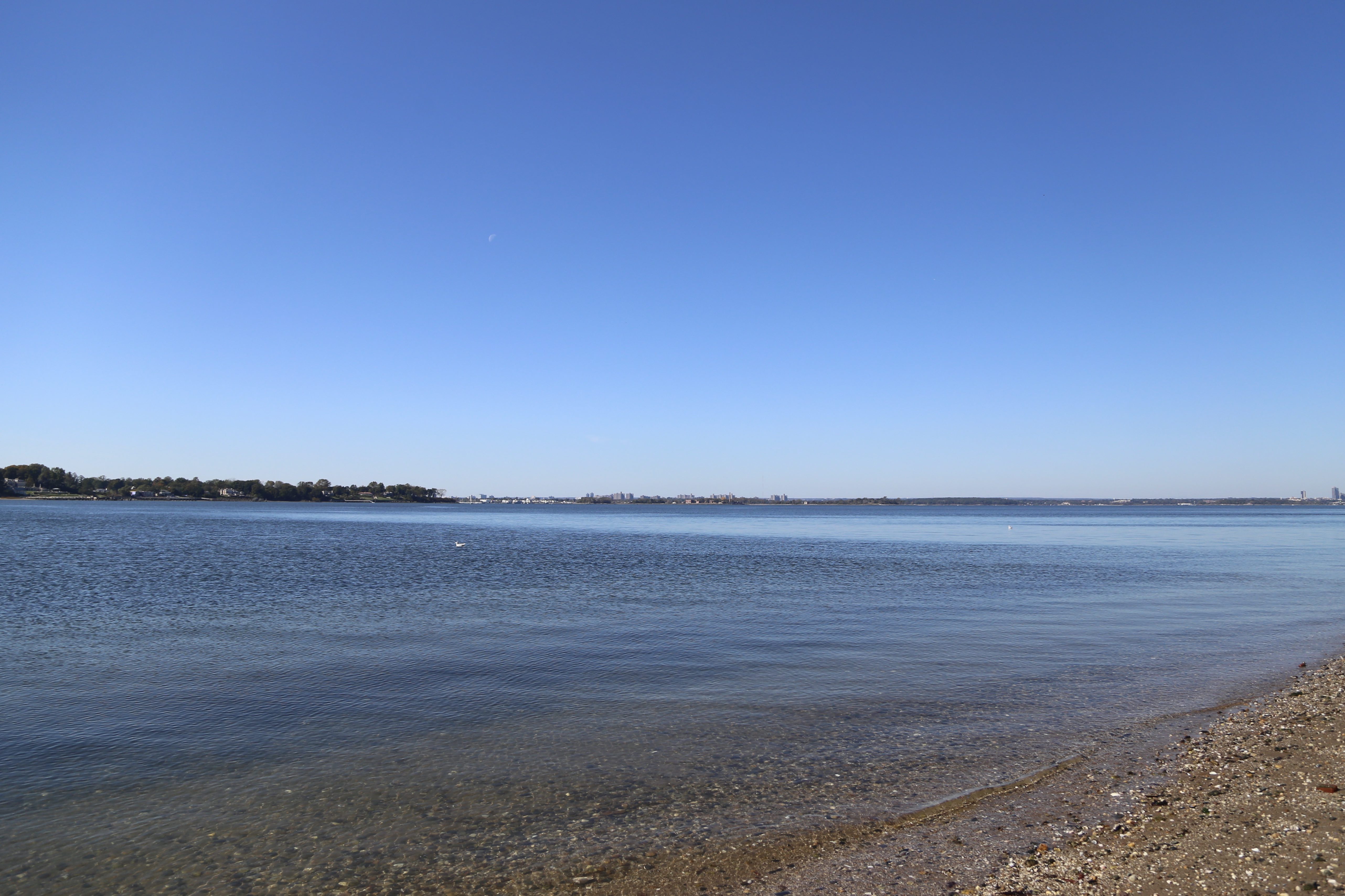 Plum Point - Sands Point, New York