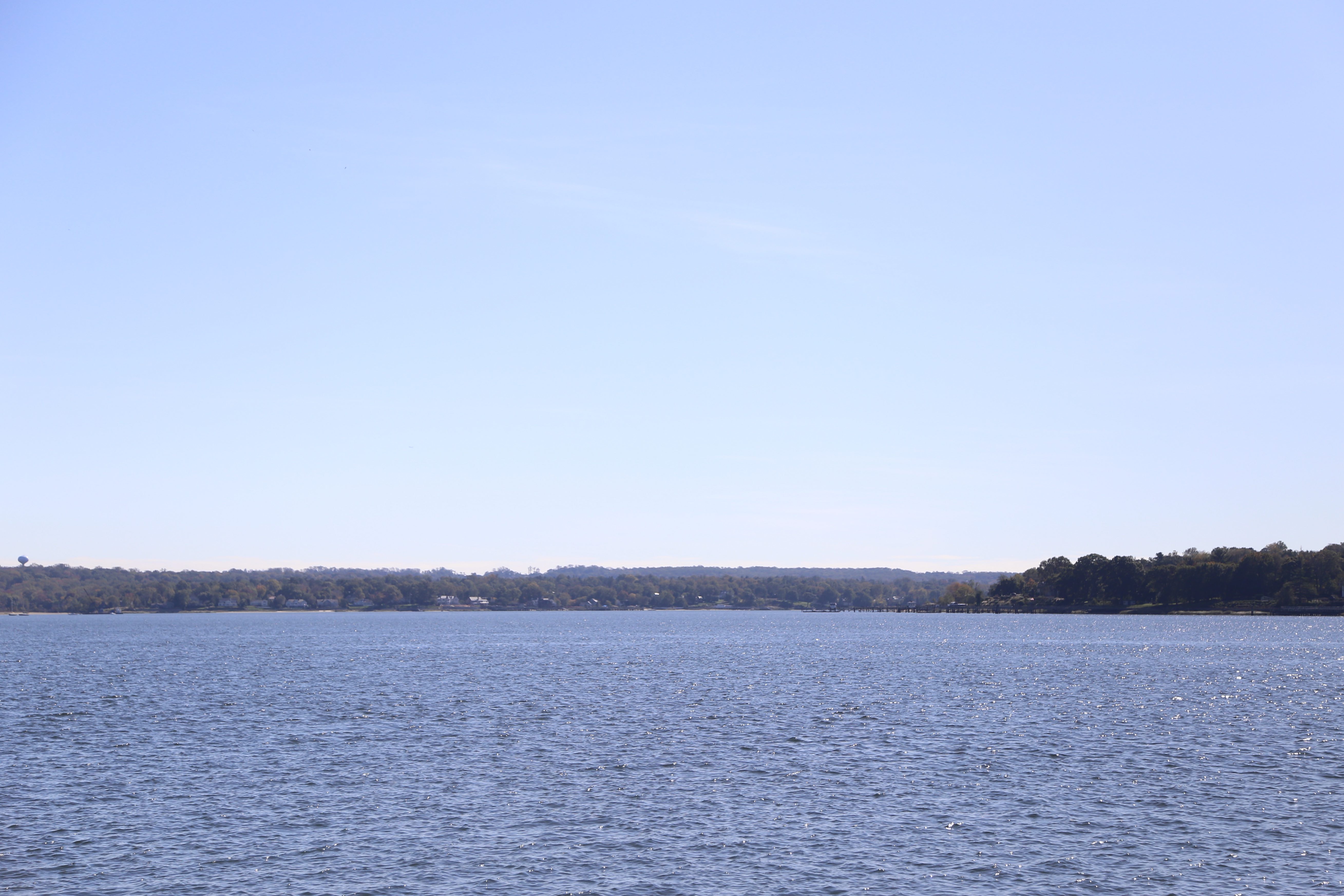 Plum Point - Sands Point, New York