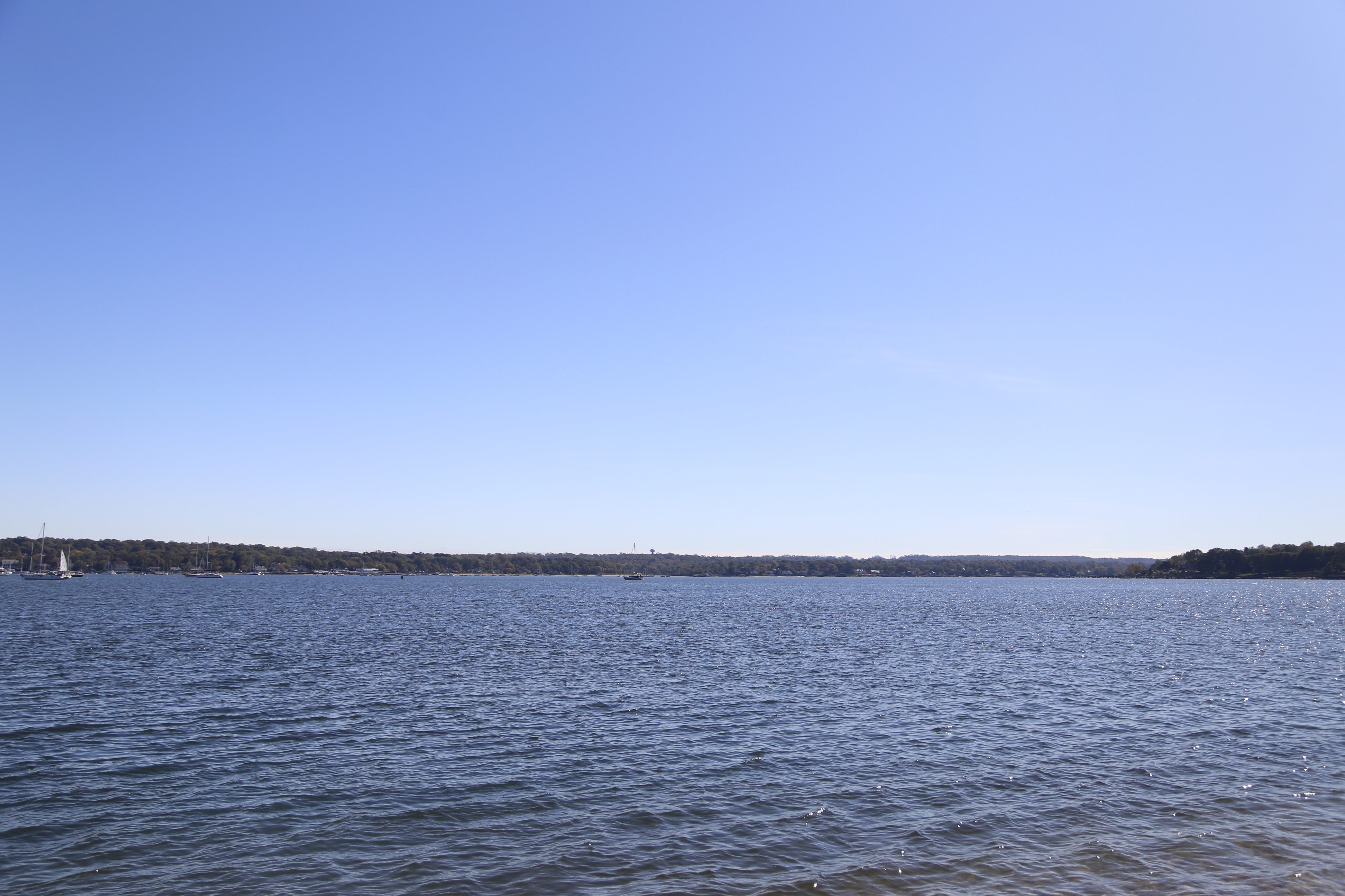 Plum Point - Sands Point, New York