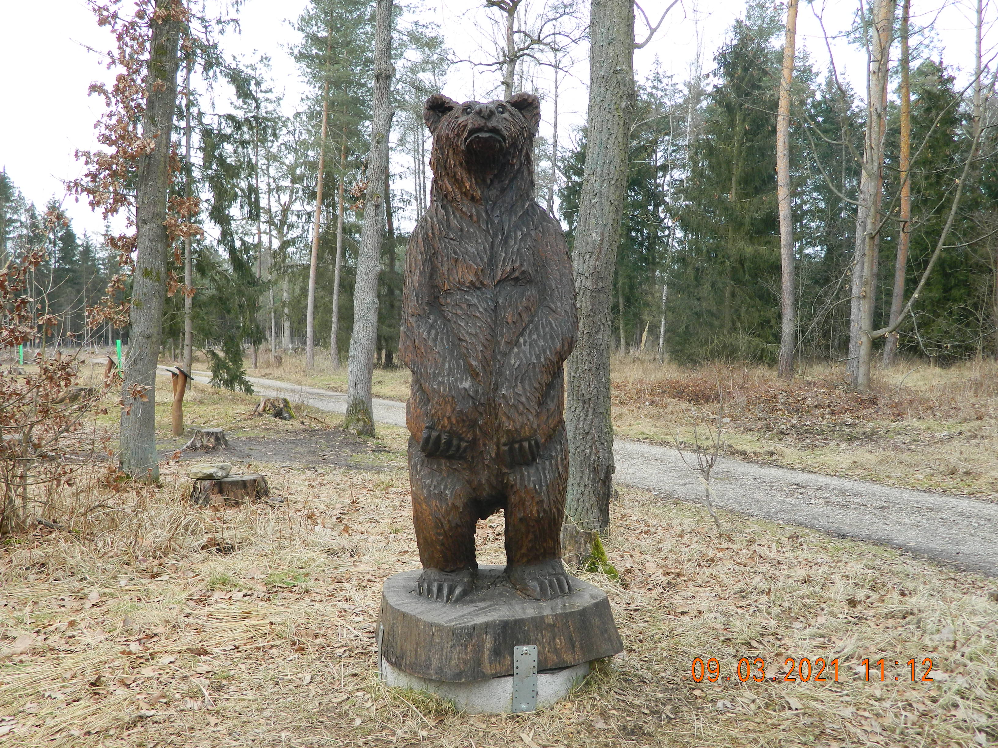 Lesni Telocvicna U Pytlaka - Hradec Králové | gym - fitness / health ...