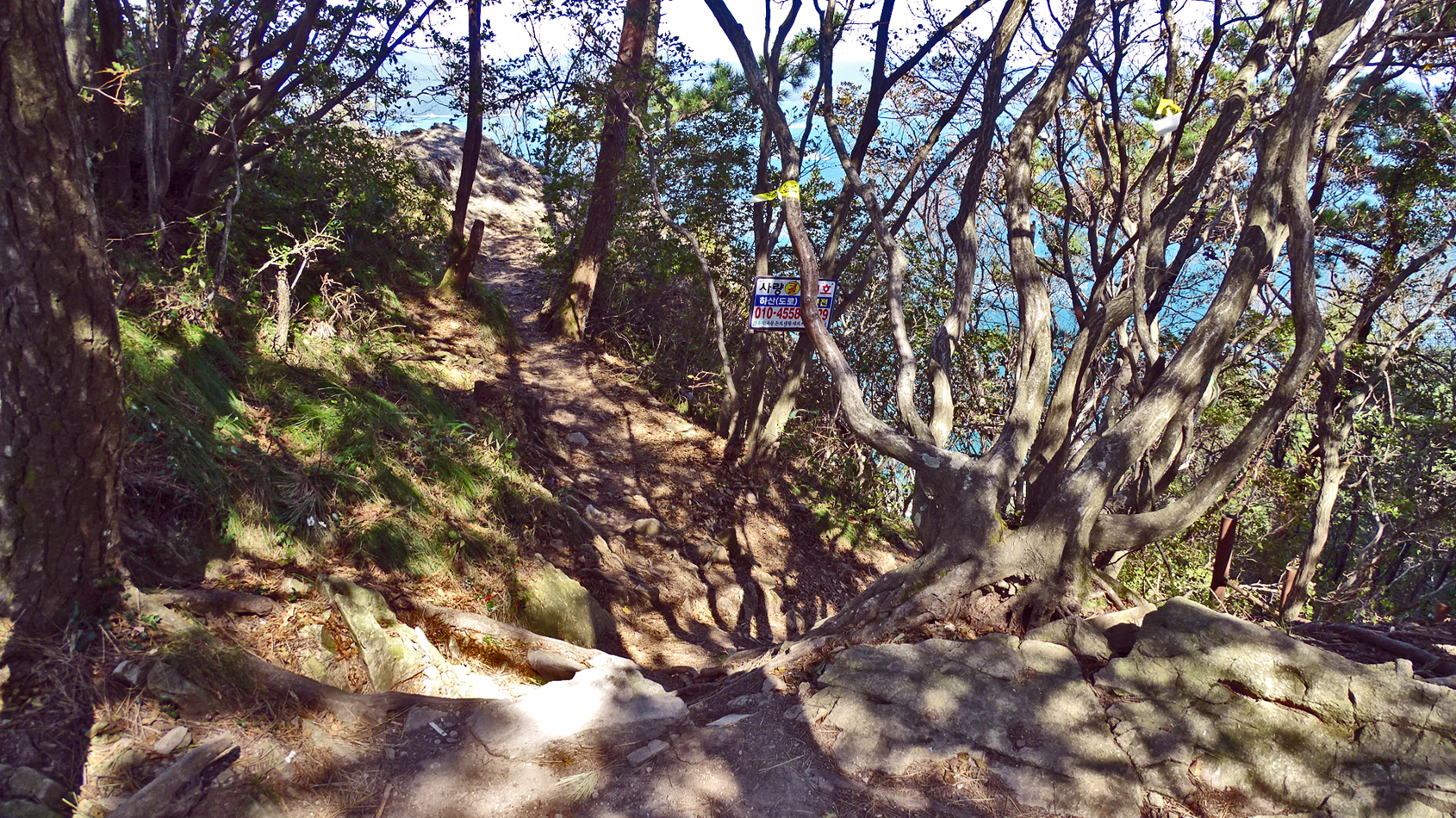 Seongdo - Saryangdo Okdong-ri | island