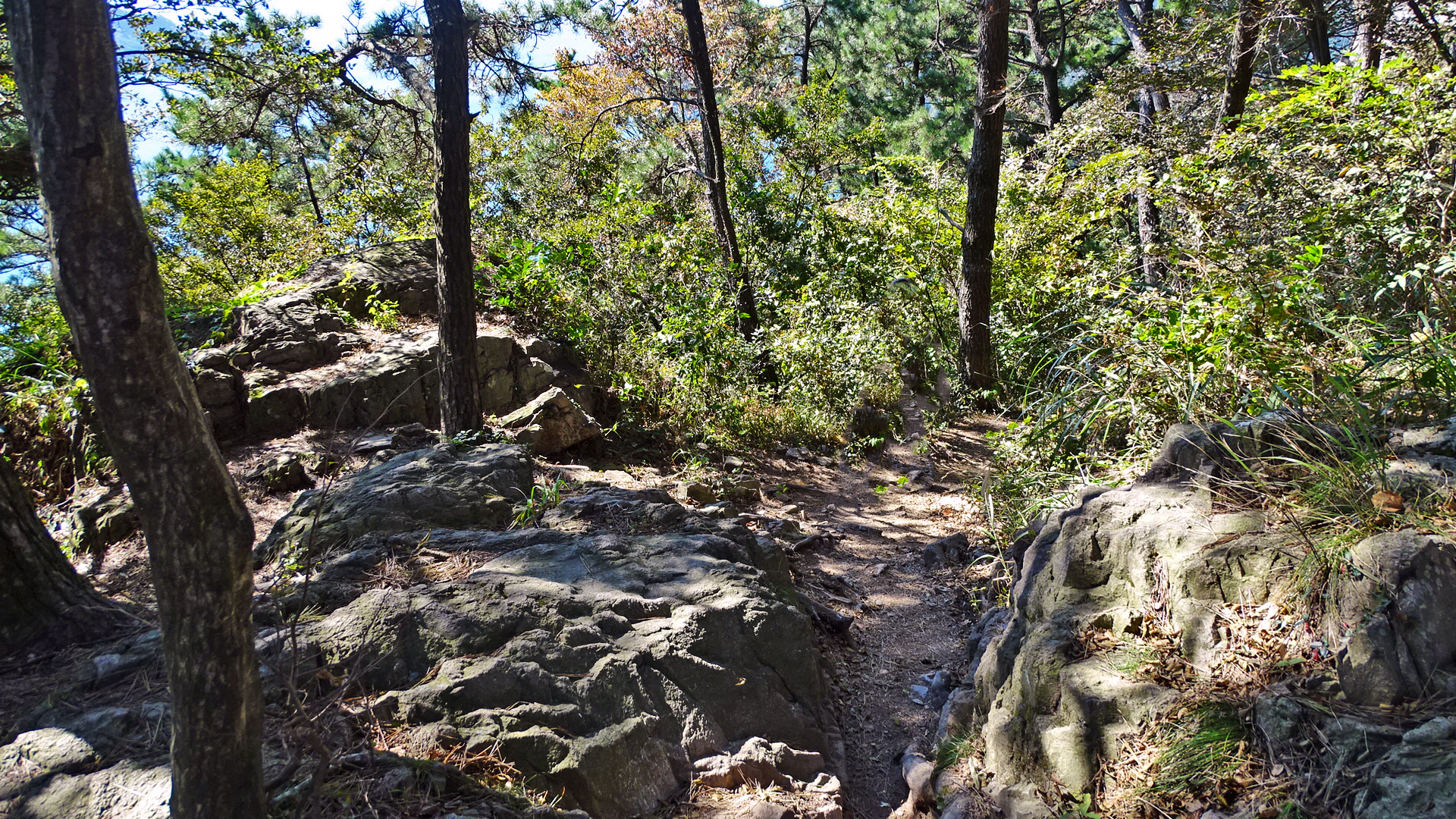 Seongdo - Saryangdo Okdong-ri | island