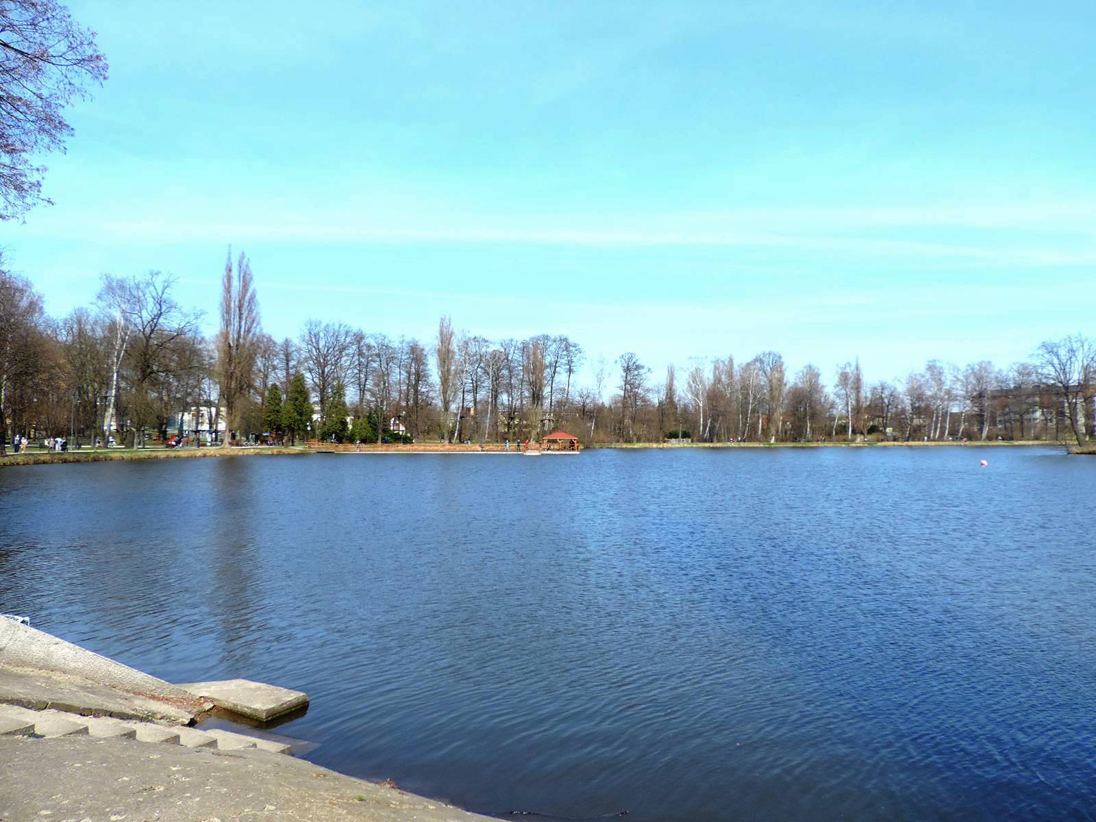 Staw "Cylkego" - Zgierz