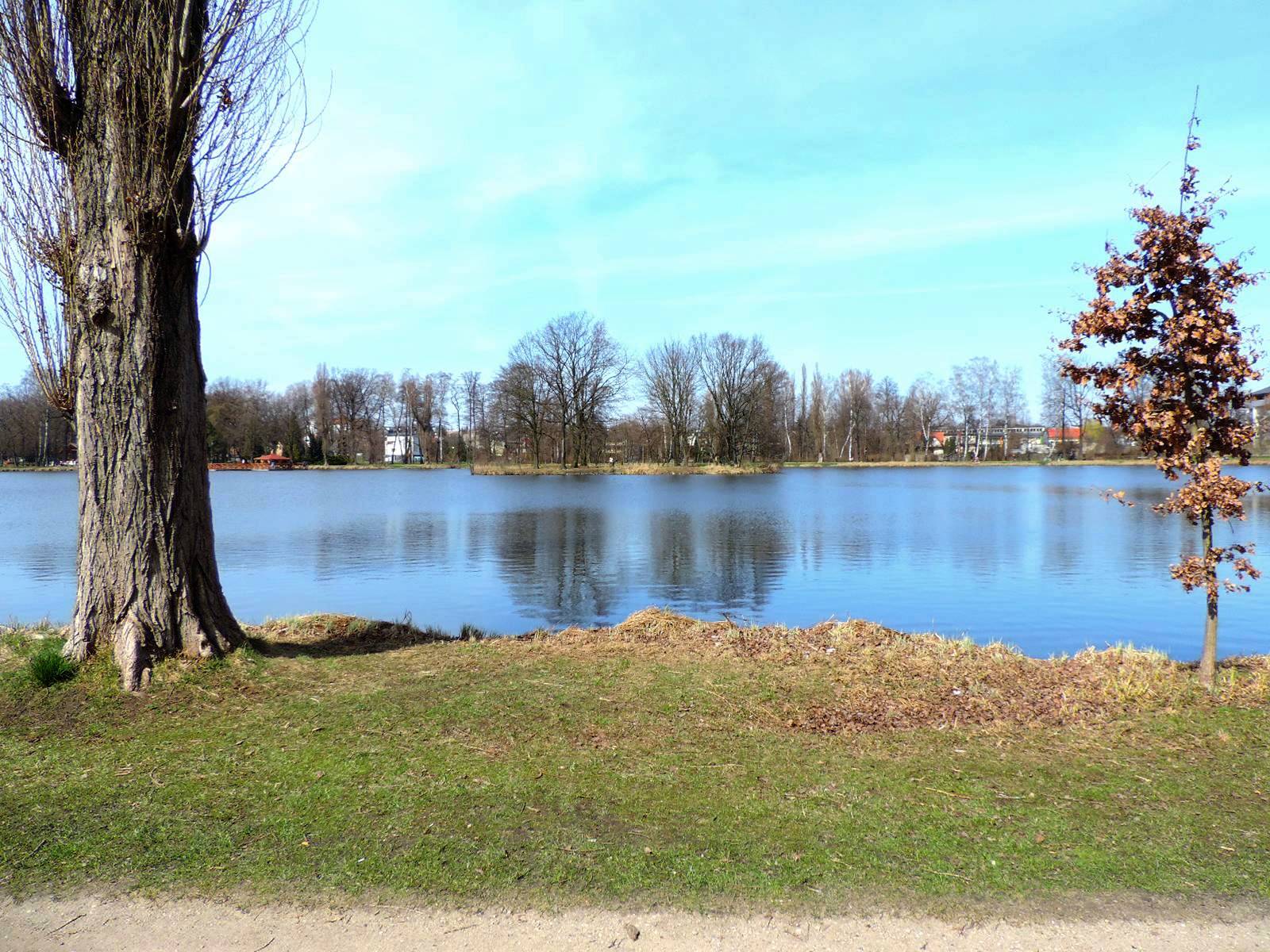 Staw "Cylkego" - Zgierz