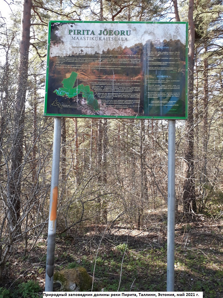 Car park and observation deck of the Pirita River Valley Nature Reserve ...