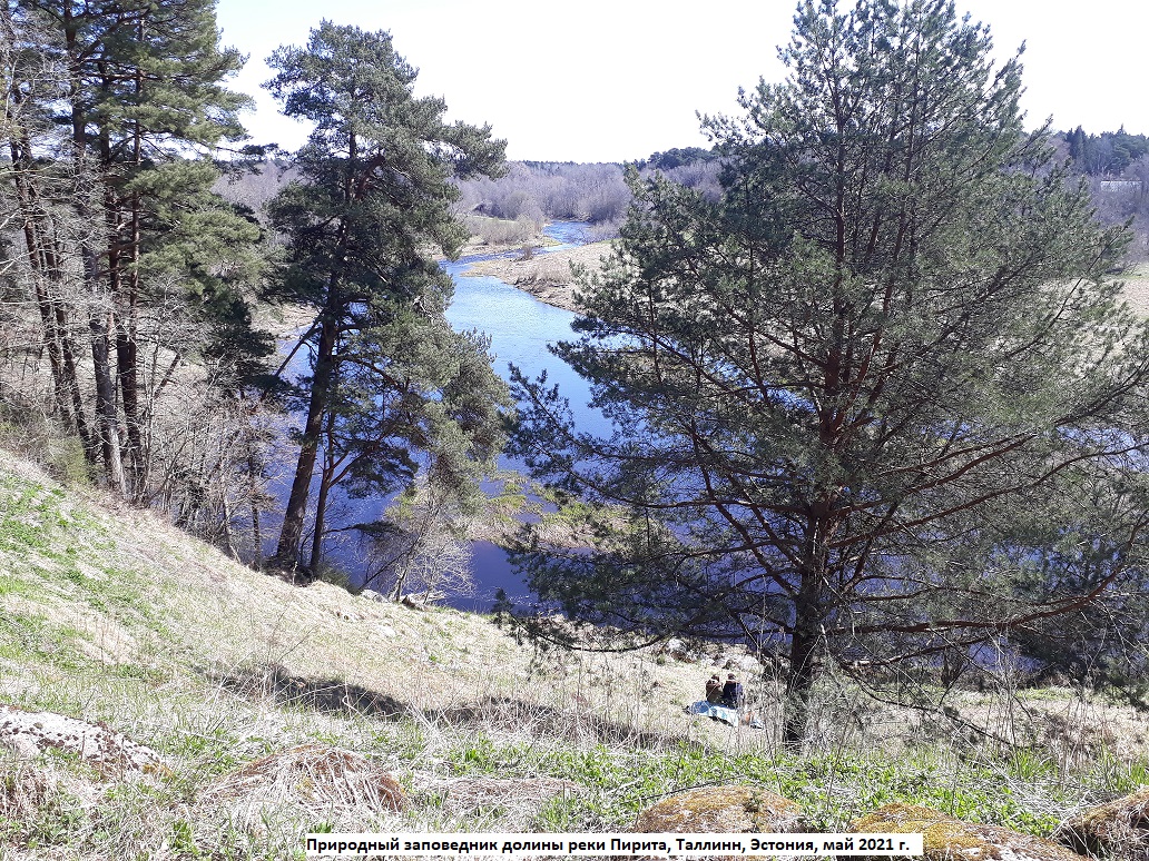 Car park and observation deck of the Pirita River Valley Nature Reserve ...