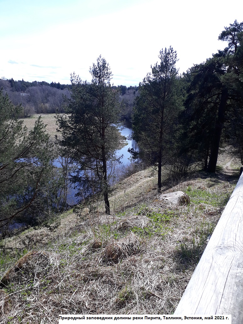 Car park and observation deck of the Pirita River Valley Nature Reserve ...