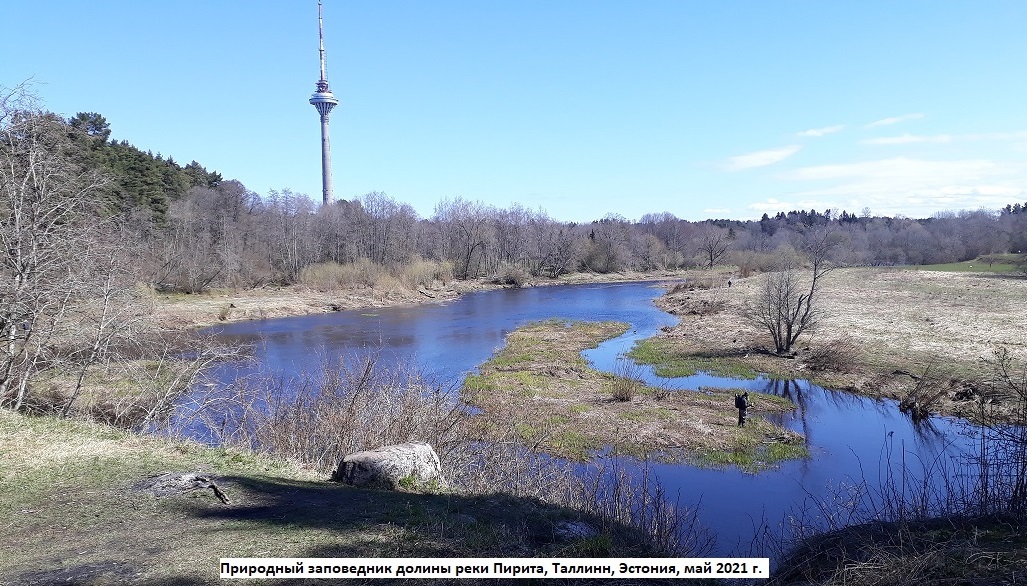 Car park and observation deck of the Pirita River Valley Nature Reserve ...