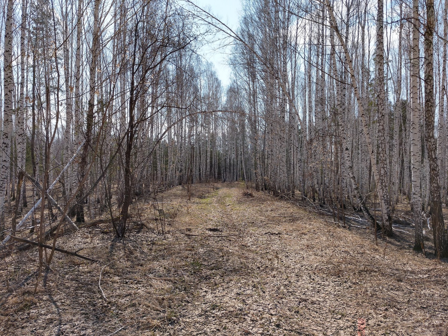 S-200 (SA-5) SAM Site