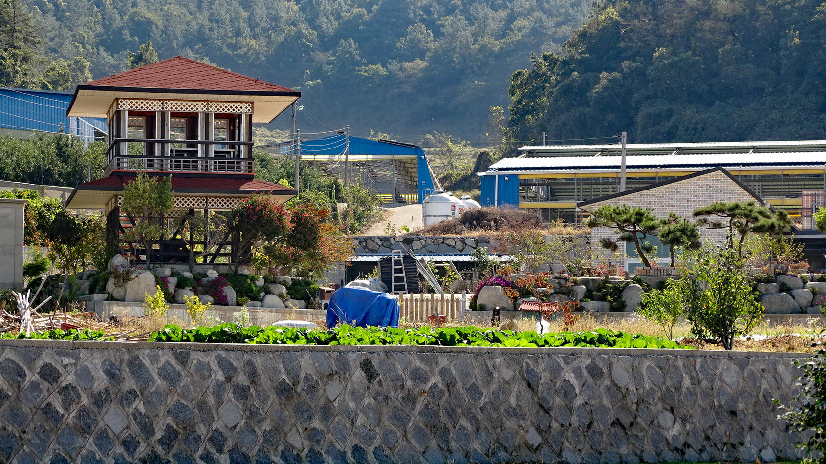 Yongdong-maeul