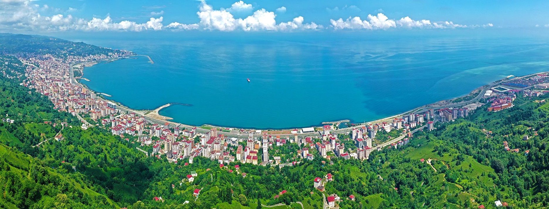 Rize (English)