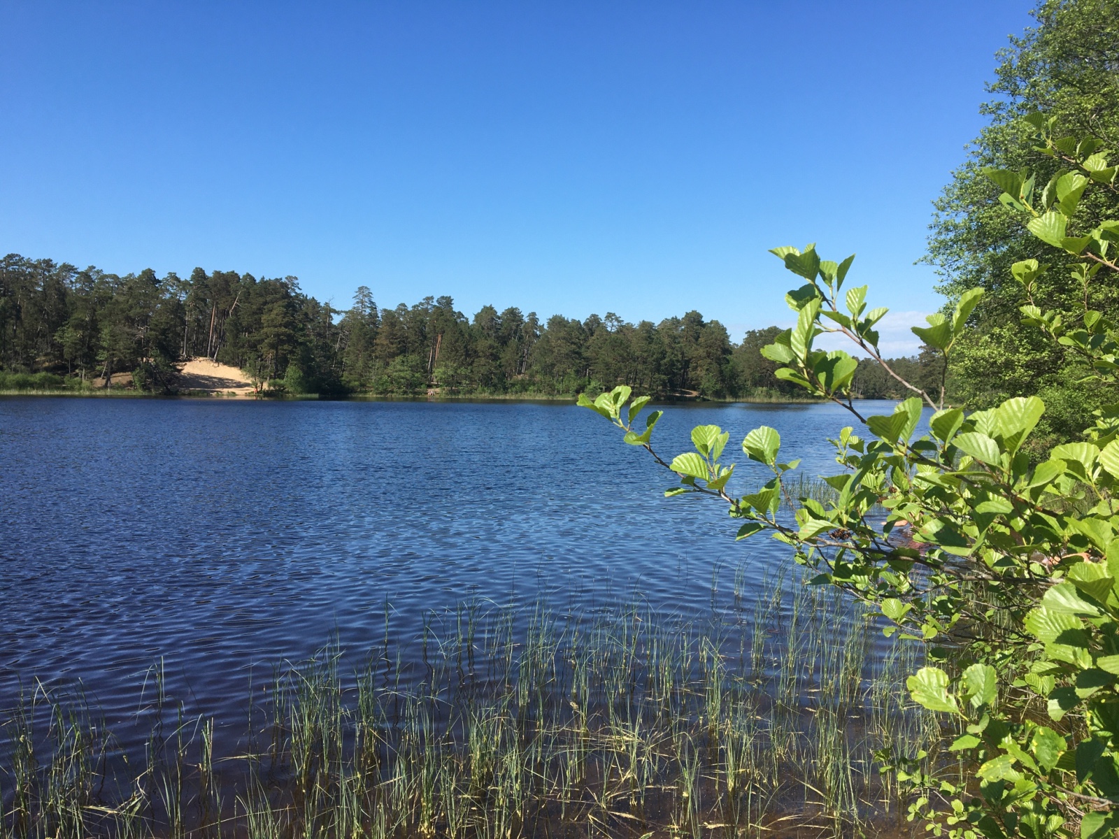 Dienvidu Garezers Lake