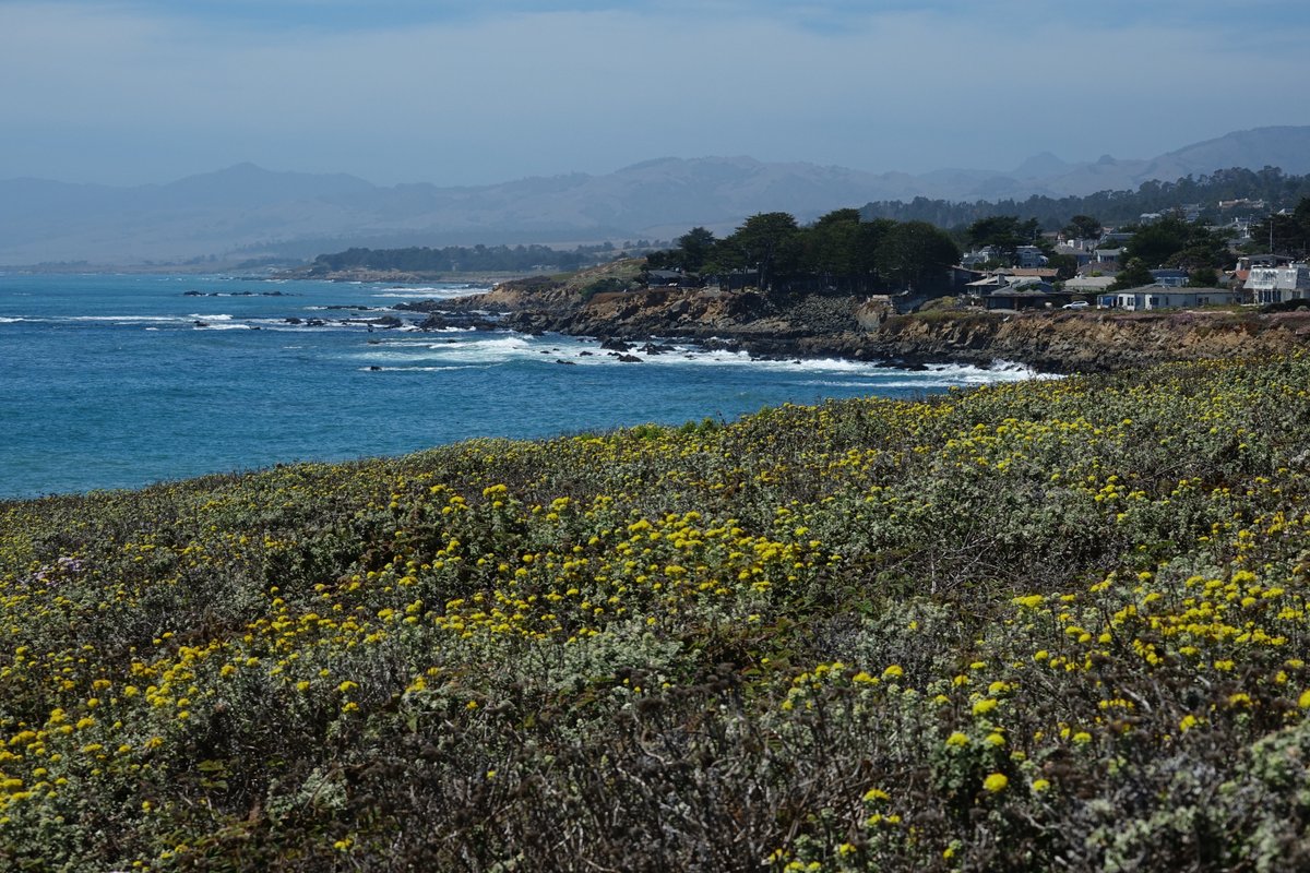 Fiscalini Ranch Preserve