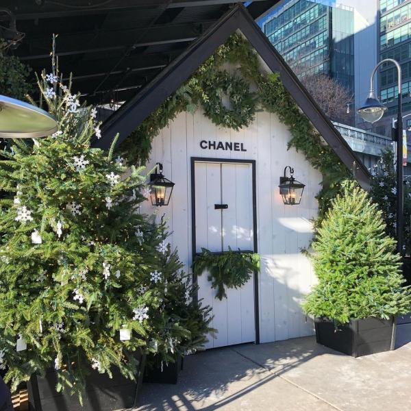 The Standard Ice Skating Rink