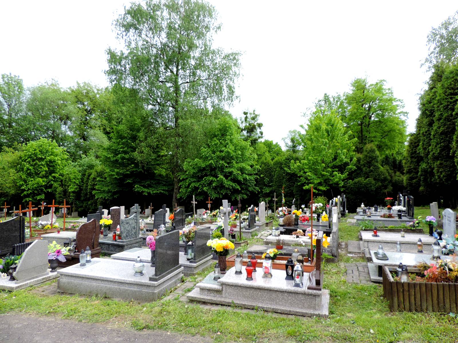 Centralny Cmentarz Komunalny w Cieszynie - Cieszyn