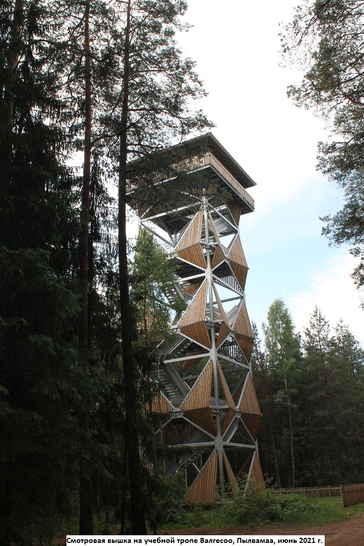 Aussichtsturm Valgesoo - Киидярве