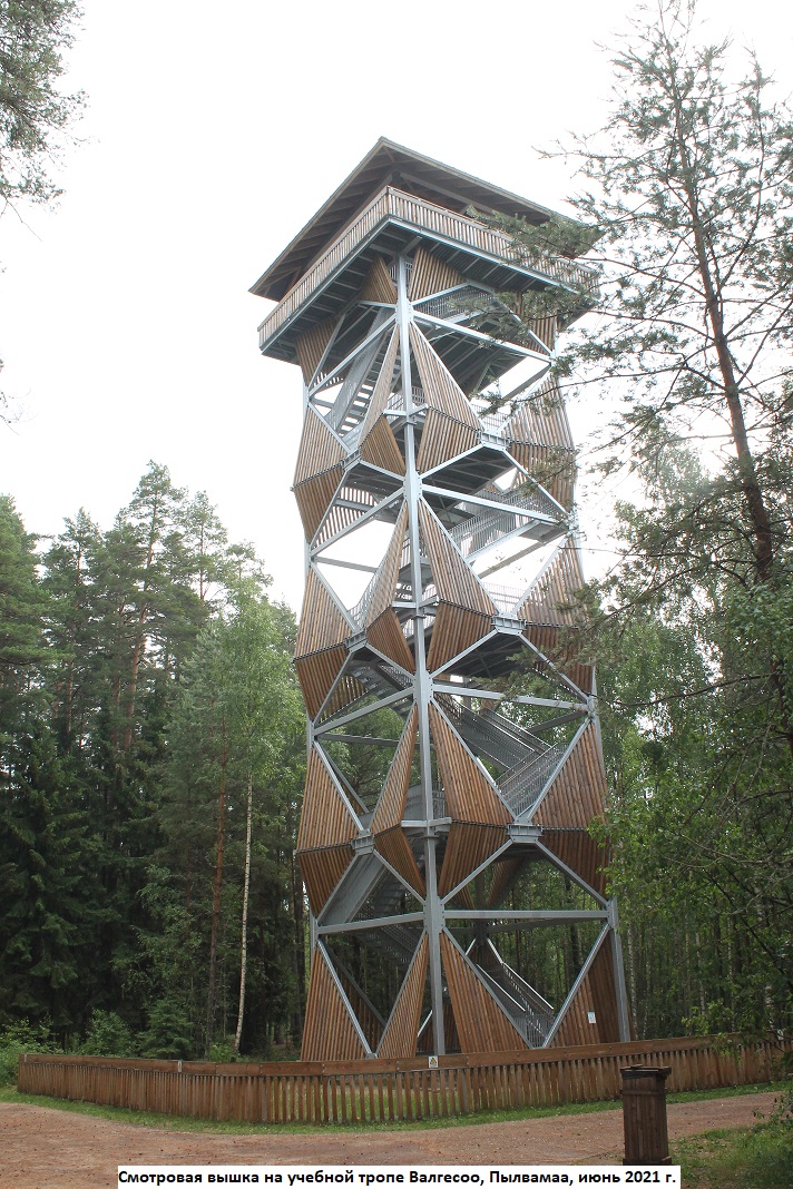 Aussichtsturm Valgesoo - Киидярве