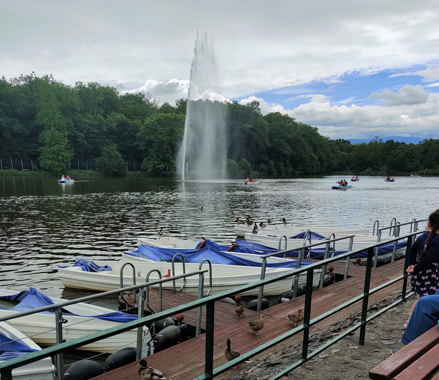 Dumbrava Sibiului Natural Park (Dumbrava Forest)