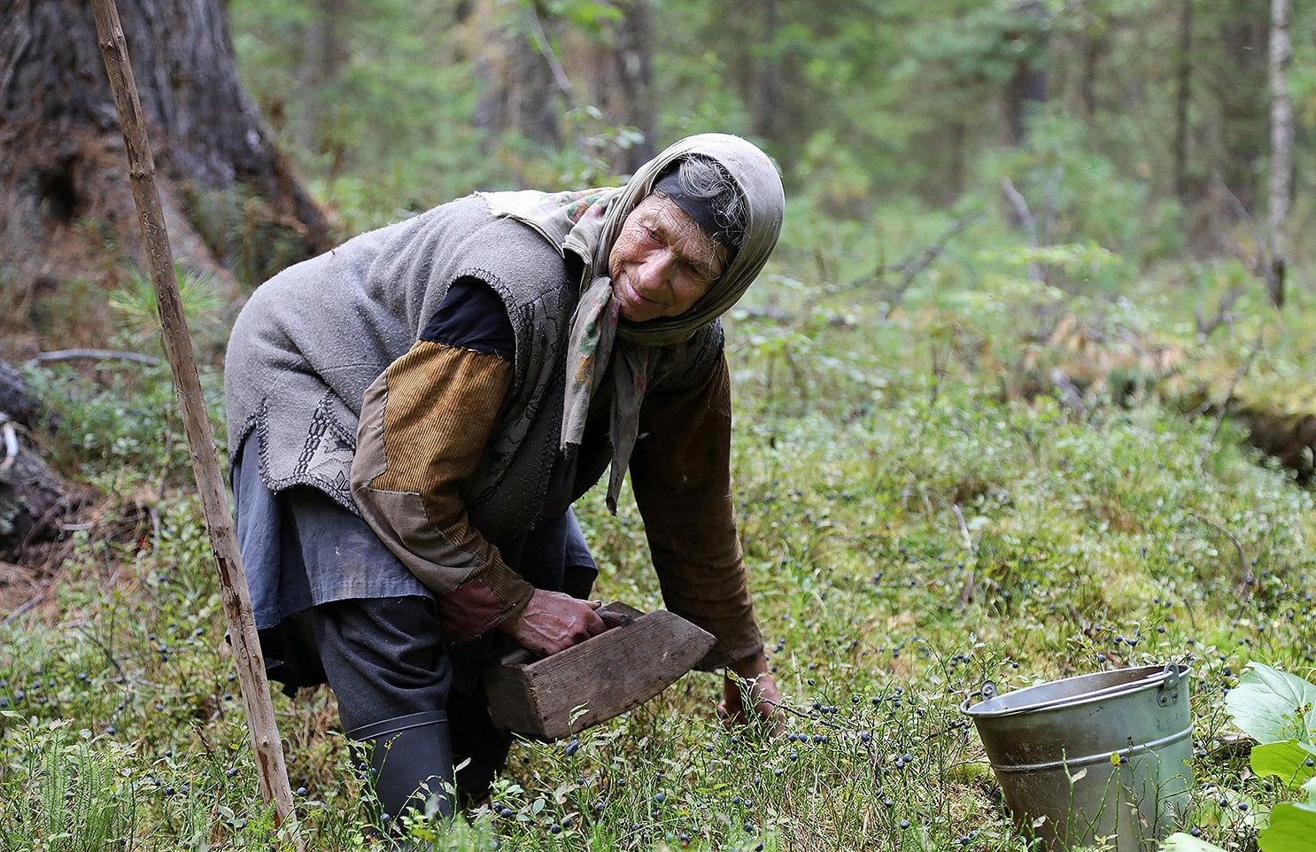 The Lykov Family's Taiga Habitation