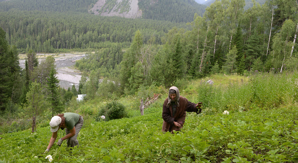 The Lykov Family's Taiga Habitation