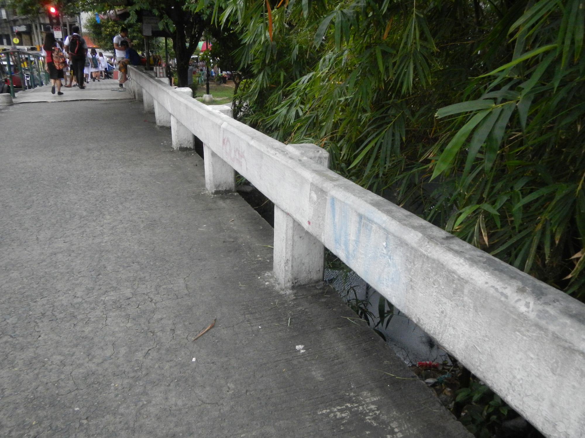 Don Chino Roces Bridge - Manila