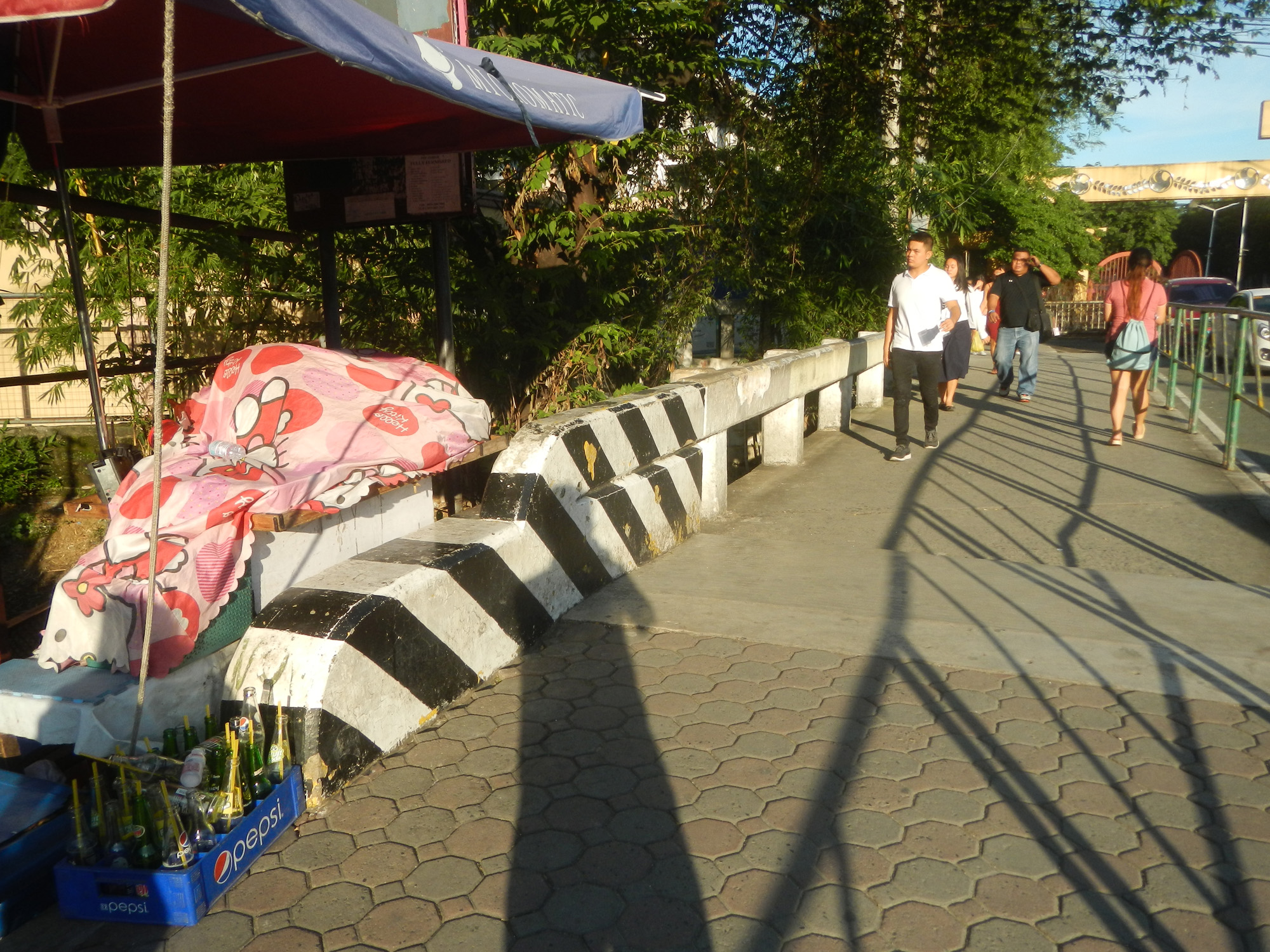 Don Chino Roces Bridge - Manila
