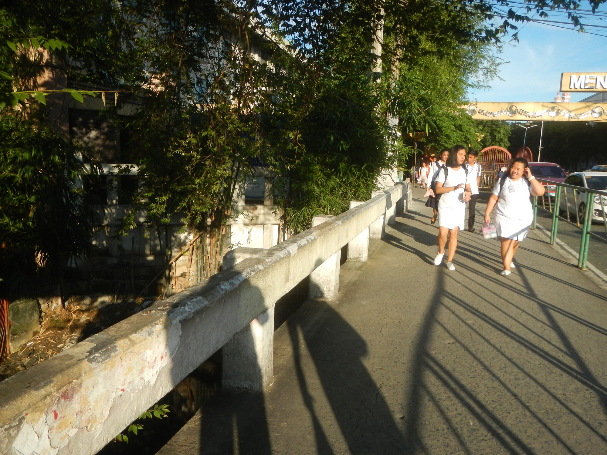 Don Chino Roces Bridge - Manila