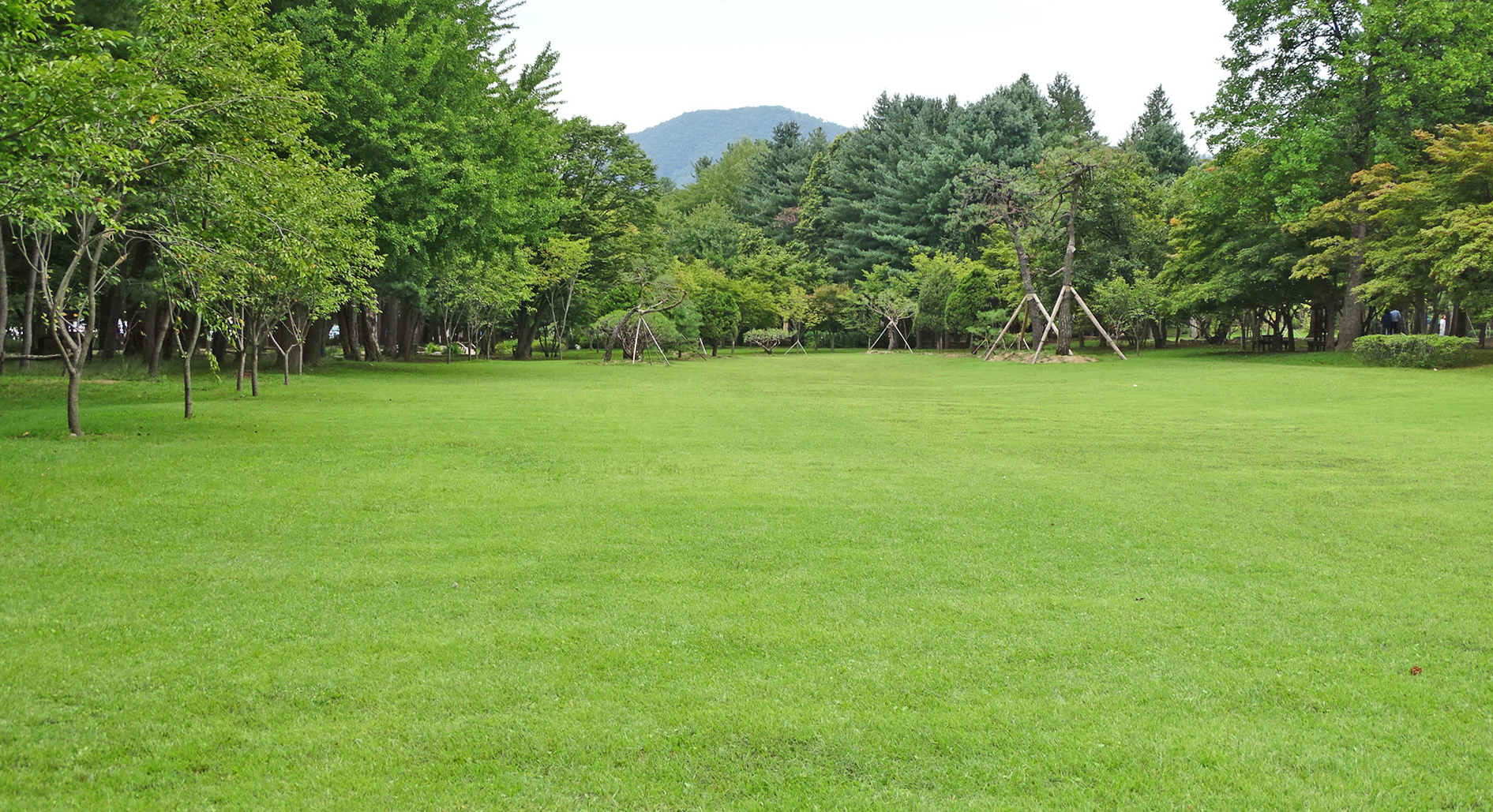 Nami Island Shield of Peace