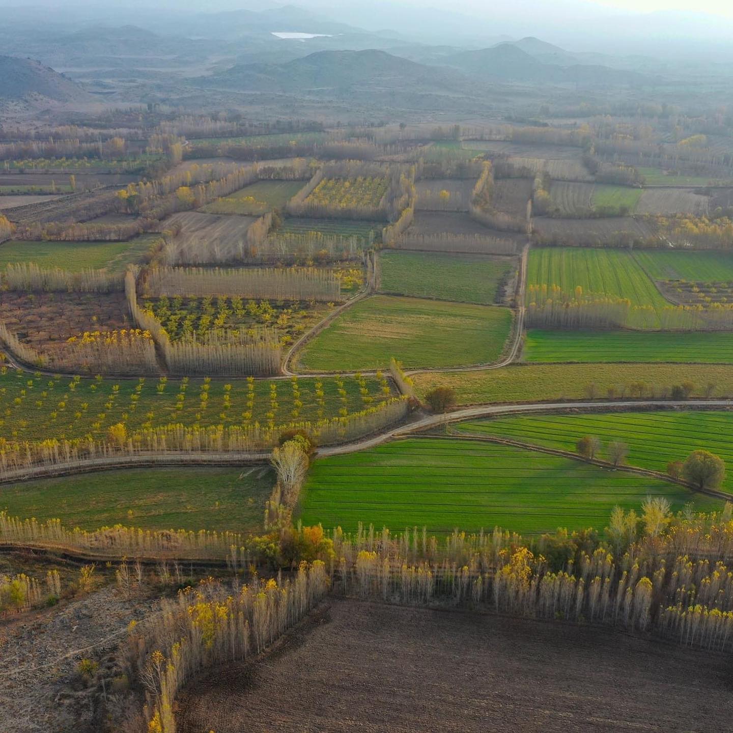 Iğdır Plain - Iğdır
